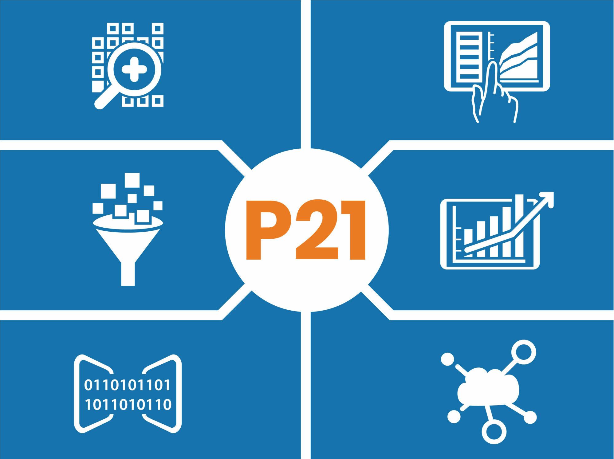 P21 Support : Epicor Prophet21 Support and Consulting